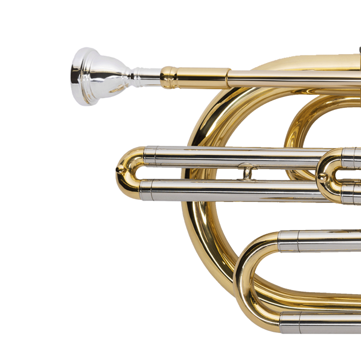Trombone Marcha Michael WTMM35N: Sonoridade e Elegância - Trombone de Marcha (Trombonito) em Sib ...