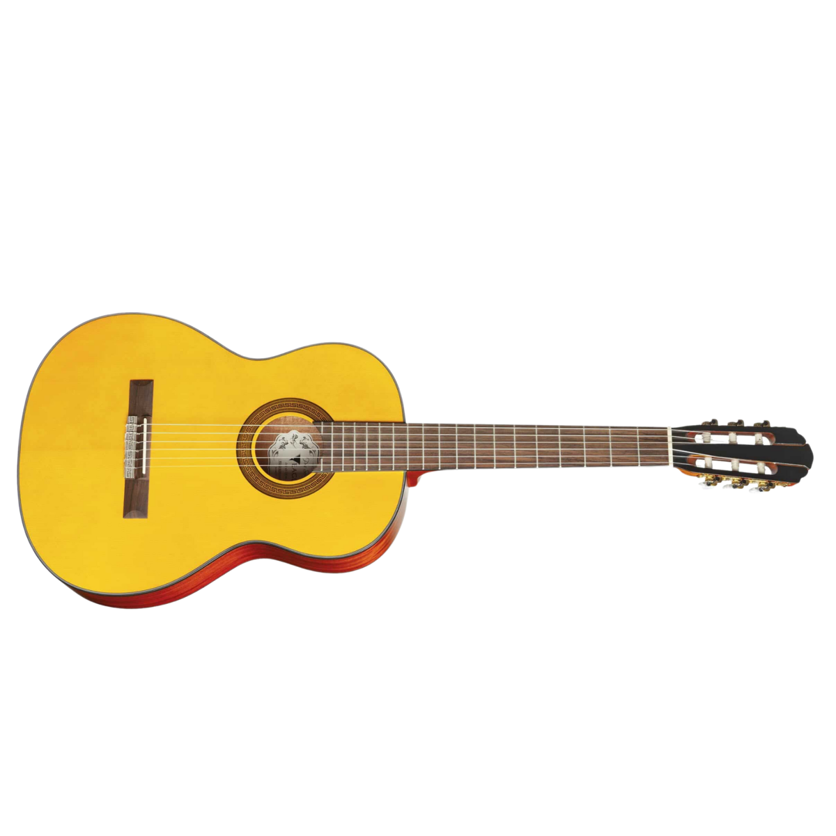 Violão Clássico Acústico EAGLE - DH69 STVG: Qualidade Superior para ...